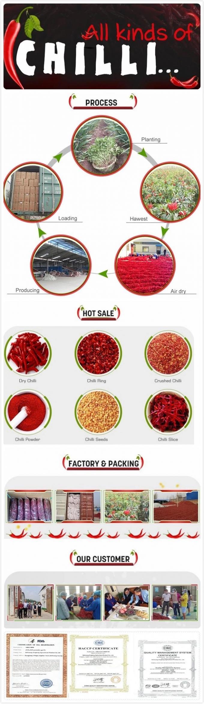 240ASTA Sweet Paprika Pepper Seedless Dried Whole Red Chilies NO Pigment