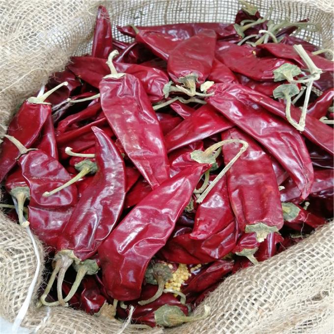 Capsicum Yidu Chili Air Dried Dehydrated Whole Chilli Pods Spicy Fragrance