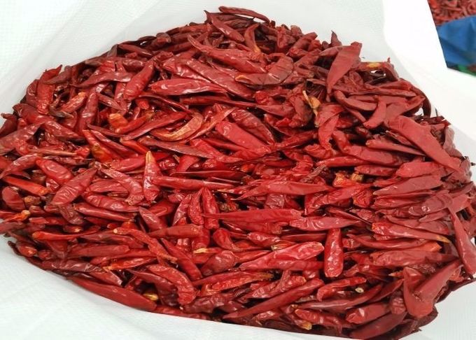 20000shu Stemless Dried Tien Tsin Chili Peppers Single Herbs