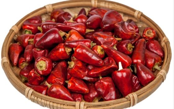 Zero Additive Red Bullet Chilli Sterilized 4CM Dehydrating Chillies