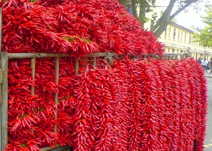 Seedless Whole Dry Chilli Chaotian Sichuan Facing Heaven Chillies