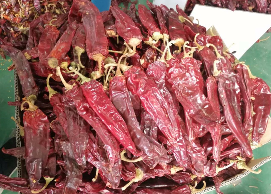 Guajillo Sun Dried Chilli Red Guajillo Peppers Sweet Flavor KOSHER