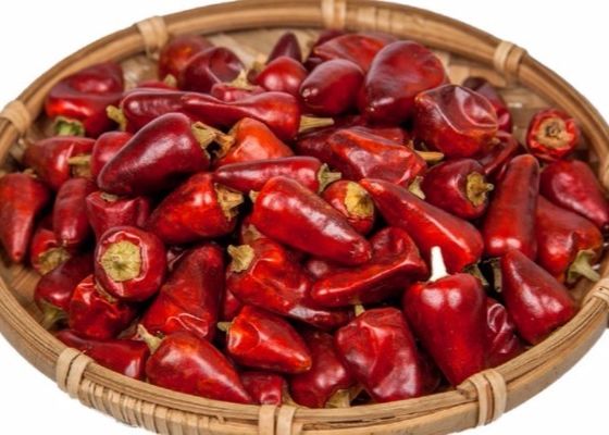 Red Bullet Chilli factory, Buy good quality Red Bullet Chilli products ...